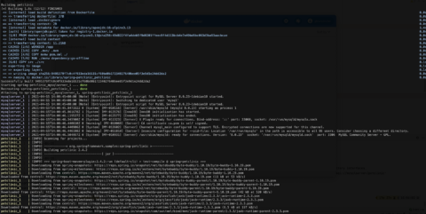 Containerizing a Legendary PetClinic App Built with Spring Boot | Docker