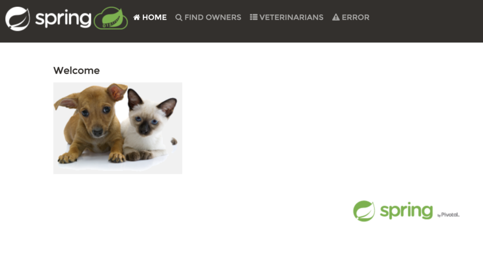 Containerizing a Legendary PetClinic App Built with Spring Boot | Docker