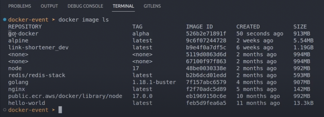 Developing Go Apps With Docker Docker