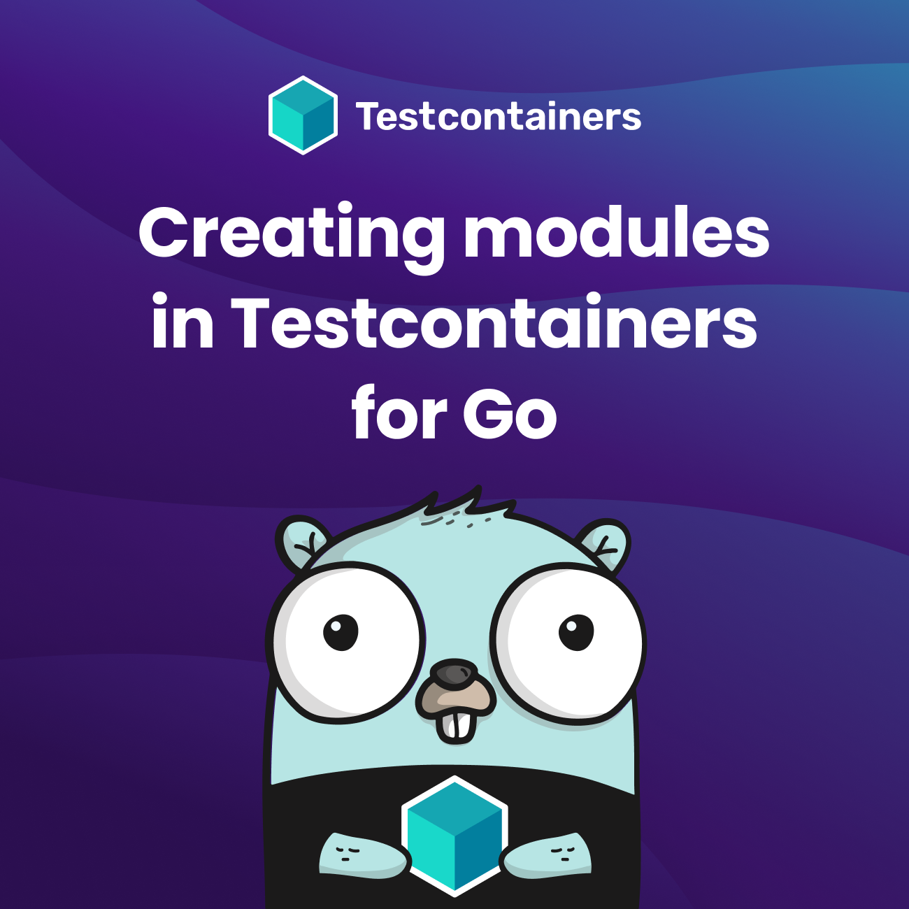 Creating Modules In Testcontainers For Go Docker