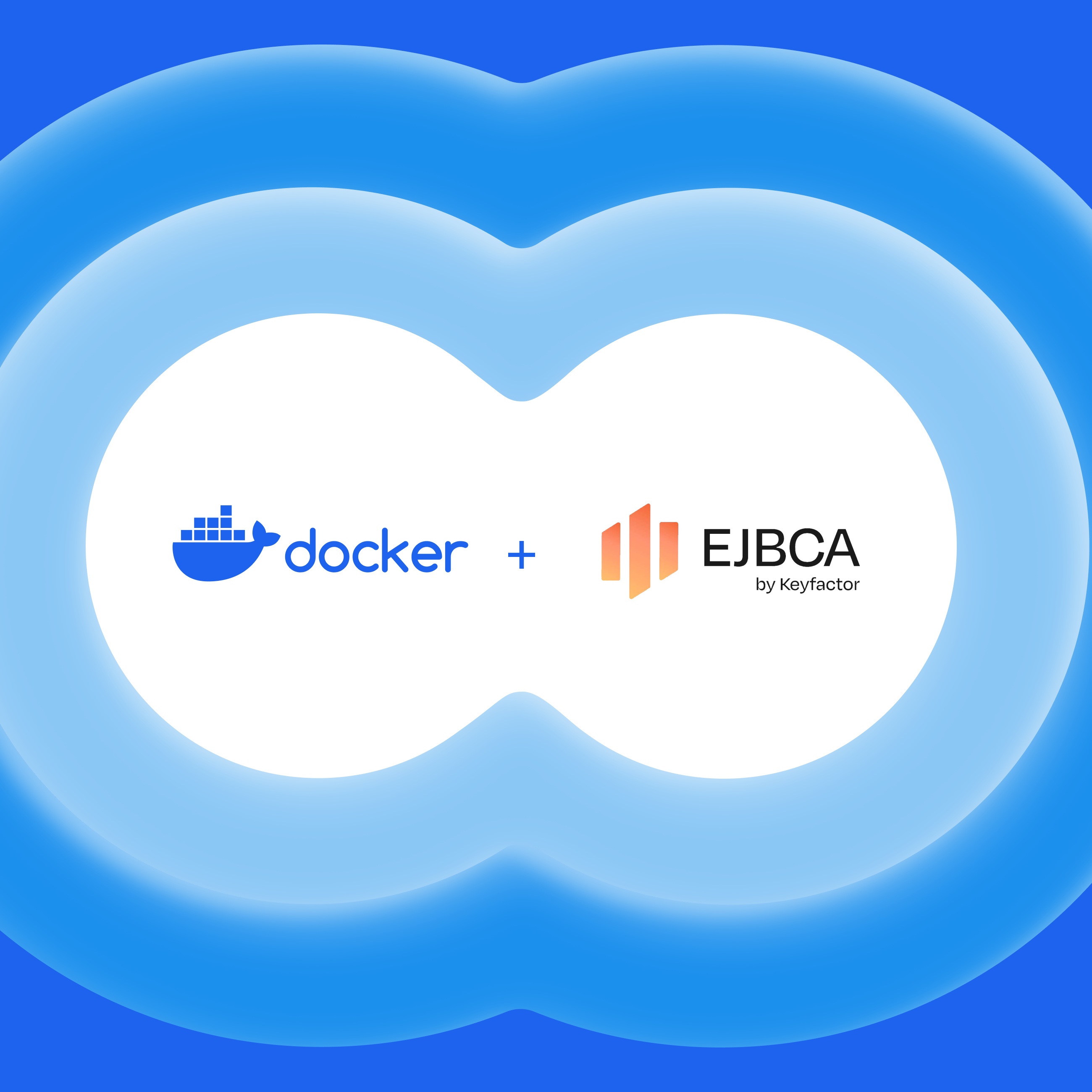EJBCA and Docker — Streamlining PKI Management and TLS Certificate ... EJBCA and Docker — Streamlining PKI Management and TLS Certificate ...