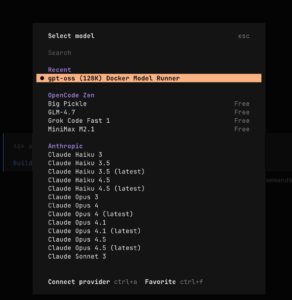 Private Ai Coding Opencode Model Runner Docker