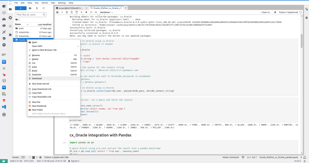 Docker 拡張機能としての JupyterLab の使用を開始する | Docker