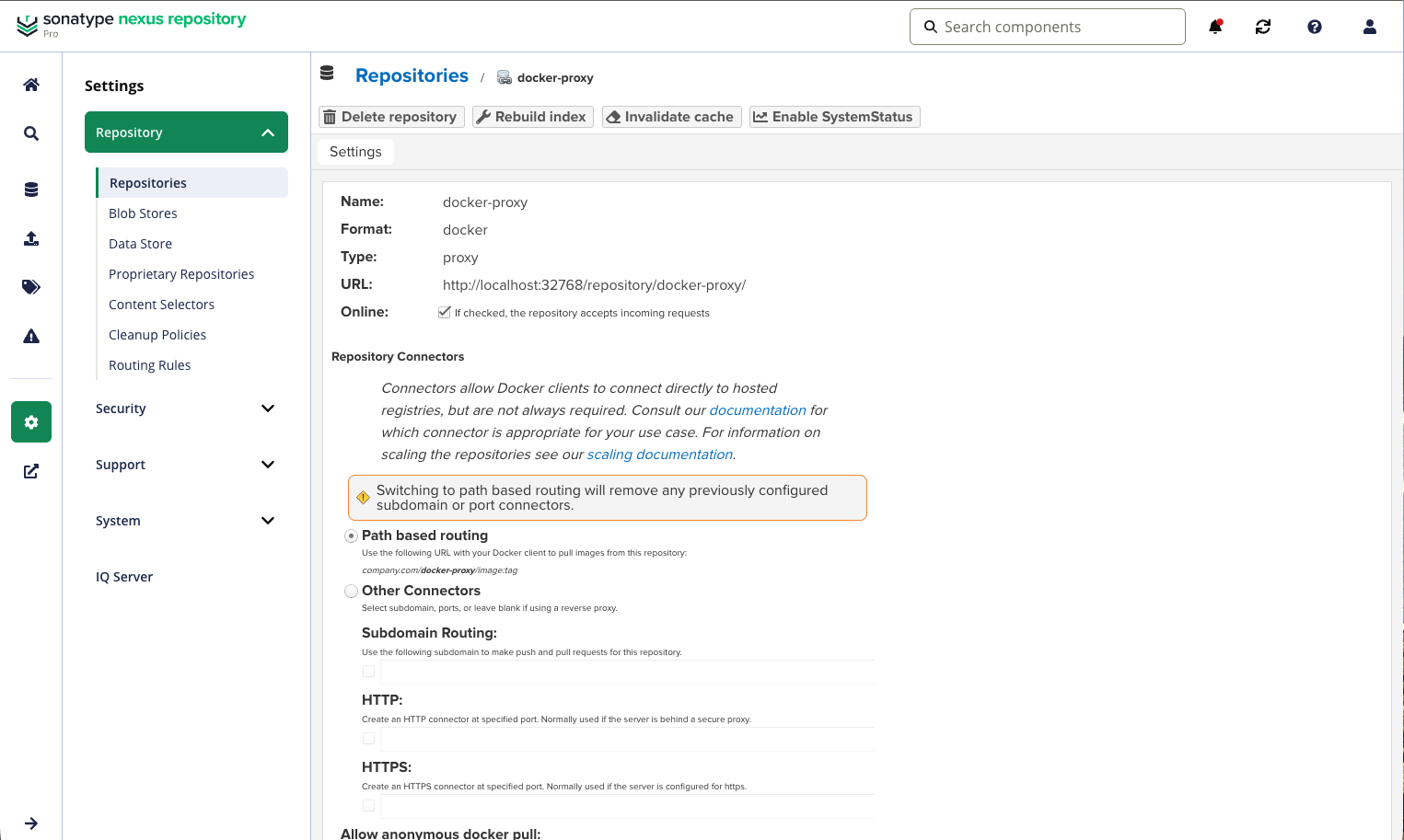 Safer Docker Hub Pulls via a Sonatype-Protected Proxy | Docker