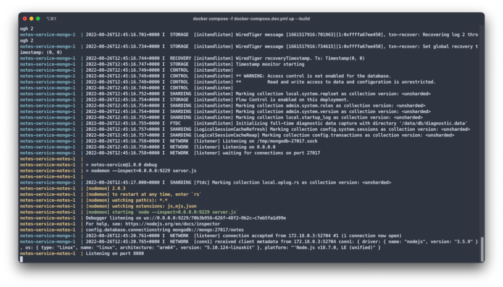 How to Set Up Your Local Node.js Development Environment