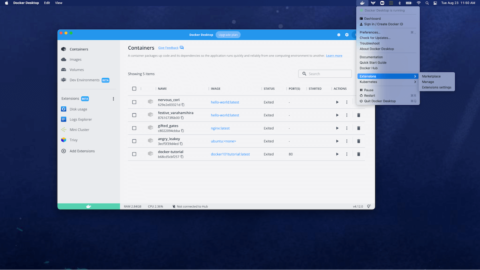 Integrated Terminal for Running Containers, Extended Integration with ...